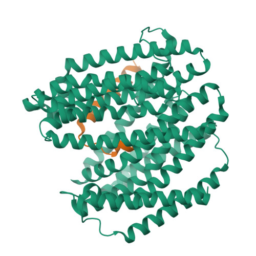 RCSB PDB - 9NU5: Structure of MurJ in complex with single gene lysis ...