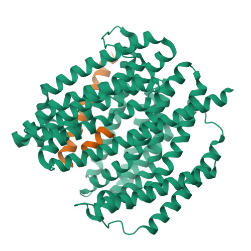 RCSB PDB - 9NU8: Structure of MurJ in complex with single gene lysis ...