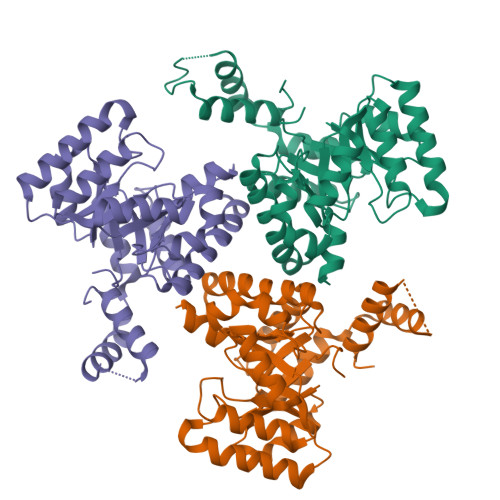 RCSB PDB - 9NZB: Crystal Structure of acyl-CoA lyase subunit beta from ...