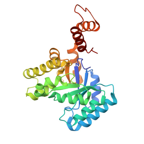RCSB PDB - 9NZB: Crystal Structure of acyl-CoA lyase subunit beta from ...