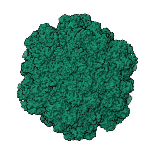 RCSB PDB - 9NZZ: Adeno-associated virus 9 variant AAV9.AAA.VQVGRTS