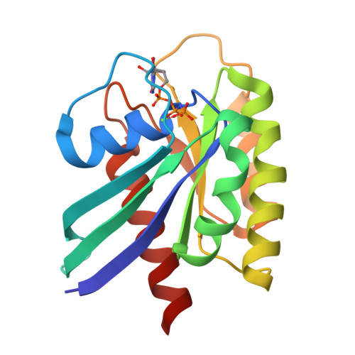 RCSB PDB - 9O0S: Crystal structure of KRAS-Q61R mutant, GMPPNP-bound