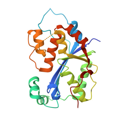 RCSB PDB - 9O0W: Co-crystal structure of human TREX1 in complex with an ...