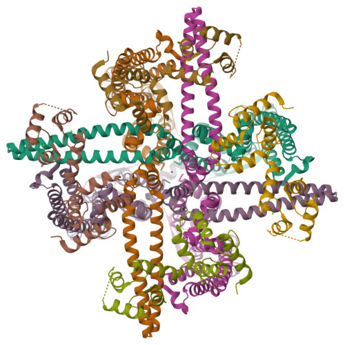 RCSB PDB - 9O52: Cryo-EM structure of the human SK2-4 chimera ...