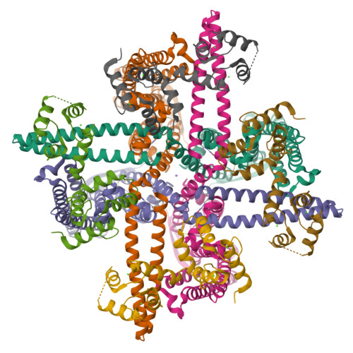 RCSB PDB - 9O53: Cryo-EM structure of the human SK2-4 chimera ...