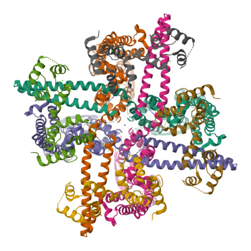 RCSB PDB - 9O5O: Cryo-EM structure of the human SK2-4 chimera ...