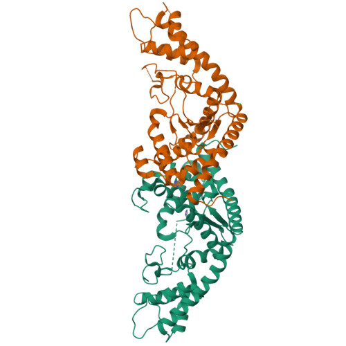 RCSB PDB - 9O66: Crystal Structure of Tryptophanyl-tRNA synthetase from ...