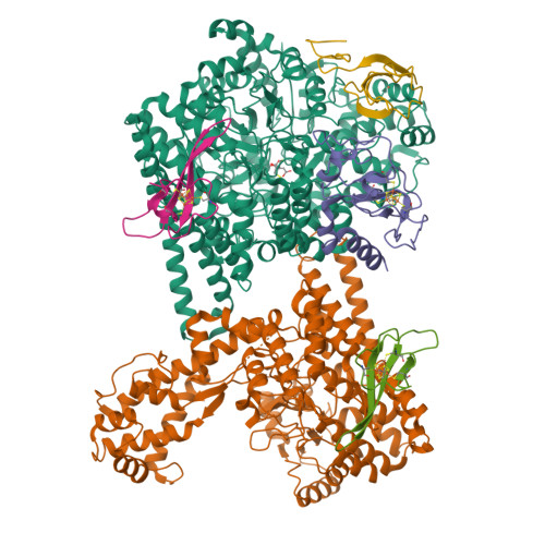 RCSB PDB - 9O8U: (1-methylalkyl)succinate synthase alpha-beta-gamma ...