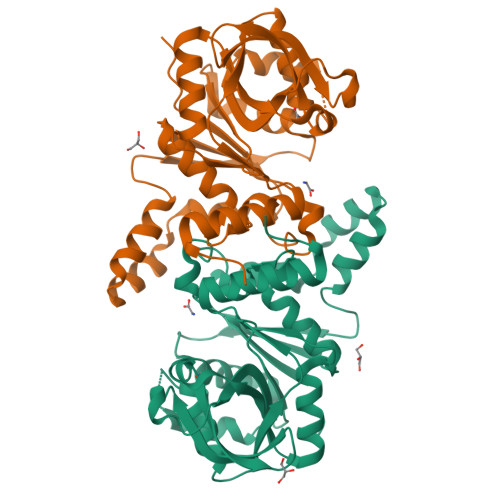RCSB PDB - 9O90: Crystal structure of UTP--glucose-1-phosphate ...