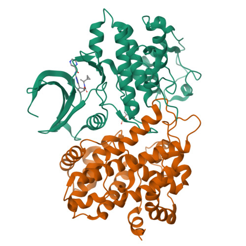 RCSB PDB - 9OB3: CDK2/CyclinE bound to compound 16 with P-loop in the ...