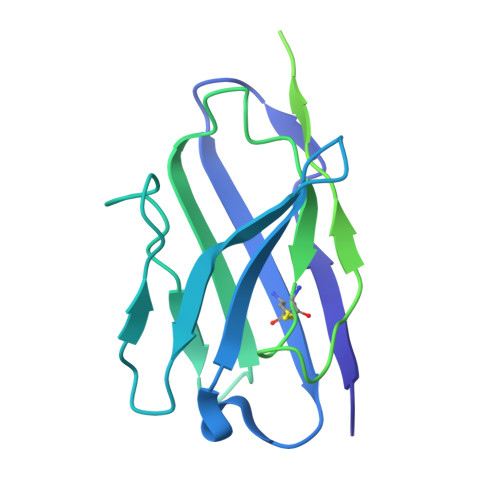 RCSB PDB - 9ODB: Clone 2.1 Fab in complex with chicken IgY CH2 domain ...