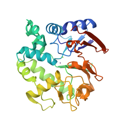 RCSB PDB - 9OJD: Crystal structure of E. coli diadenosine ...