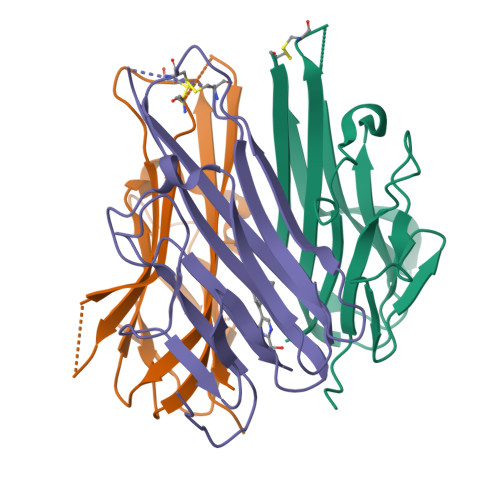 RCSB PDB - 9OJO: Crystal structure of TNF alpha in complex with compound 1
