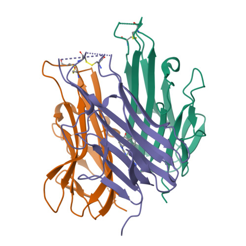 RCSB PDB - 9OJY: Crystal structure of TNF alpha in complex with compound 3.