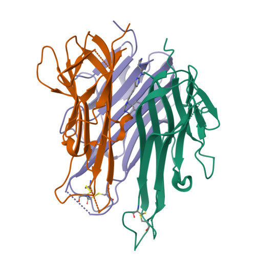 RCSB PDB - 9OK6: Crystal structure of TNF alpha in complex with compound 19