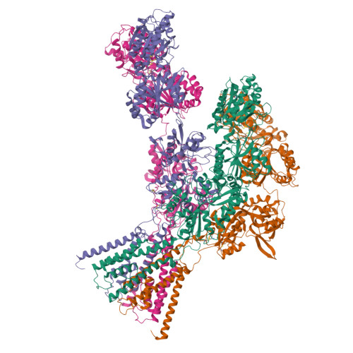 RCSB PDB - 9OOO: Human delta 2 receptor with R710W Cerebellar Ataxia ...