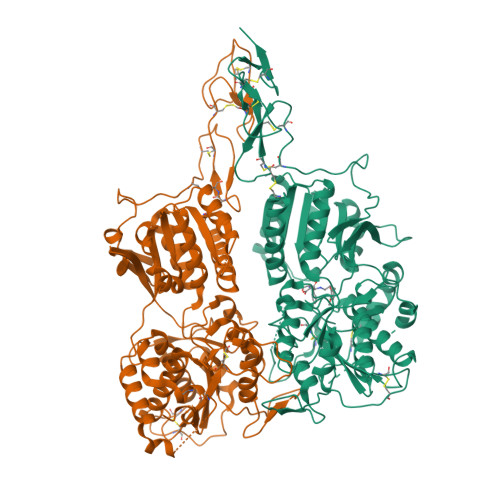 RCSB PDB - 9OQ5: Structure of the human sweet receptor bound to ...