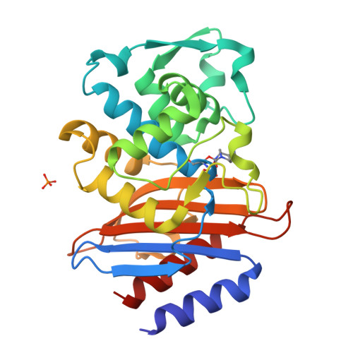 RCSB PDB - 9OR7: X-ray diffraction structure of CTX-M-14 beta-lactamase ...