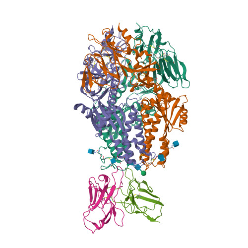 RCSB PDB - 9ORE: CryoEM structure of 4F11 Fab bound to stabilized MPV ...