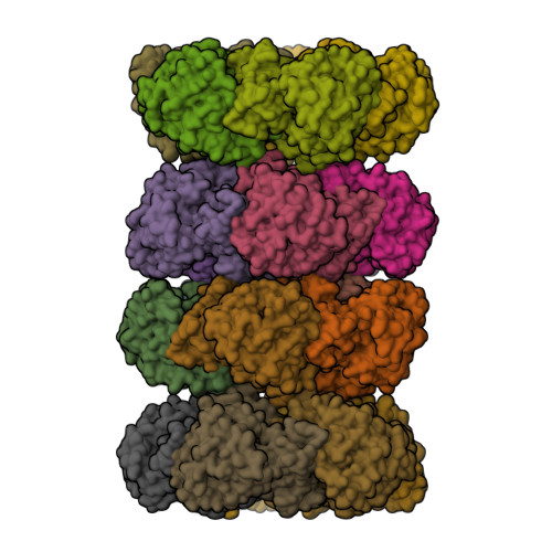 Rcsb Pdb 9otq Human Glutamine Synthetase Filament Apo