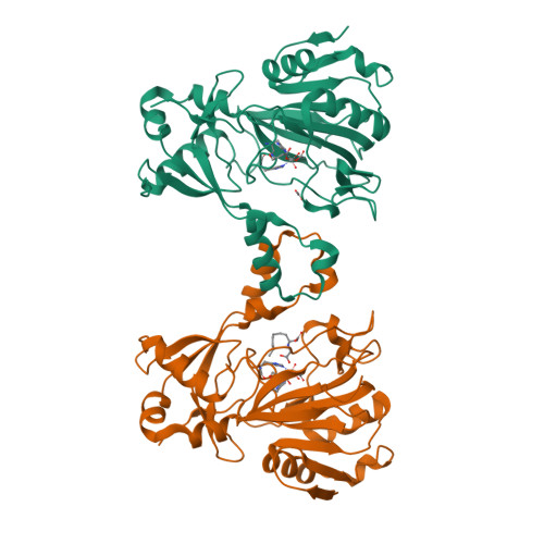 RCSB PDB - 9PAS: Crystal structure of Rv0097 G204F variant with vanadyl ...