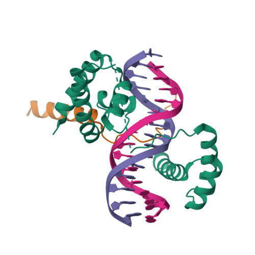 RCSB PDB - 9PFN: Structure of POU2F3 POU domains bound to coactivator ...