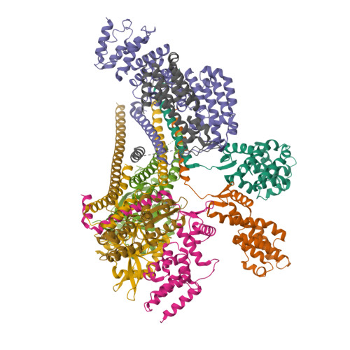 RCSB PDB - 9PH4: Cryo-EM structure of COP9 signalosome in complex with ...