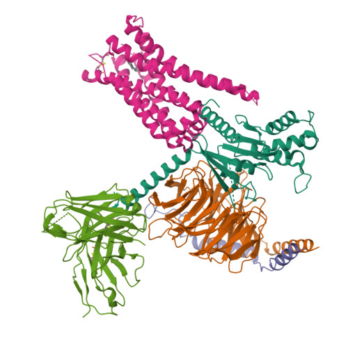 RCSB PDB - 9PLO: Structure of alpha2a adrenergic receptor in complex ...