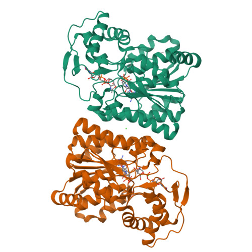 RCSB PDB - 9PMN: Crystal structure of Capsular polysaccharide ...