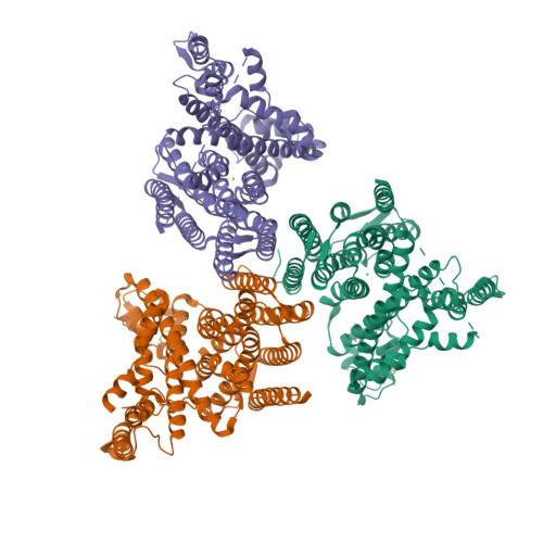 RCSB PDB - 9PS1: Cryo-EM structure of NCLX with calcium (class 3a)