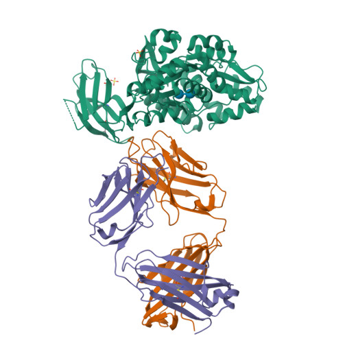 RCSB PDB - 9PX5: Crystal structure of Fab 7268 in complex with MBP ...