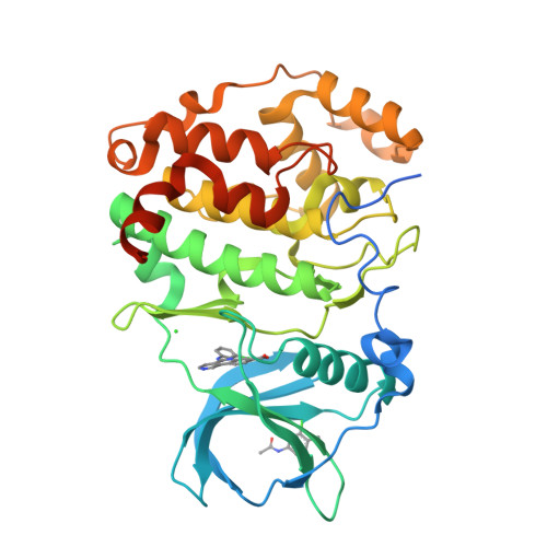 RCSB PDB - 9Q9A: Protein kinase CK2 catalytic subunit alpha' (CSNK2A2 ...
