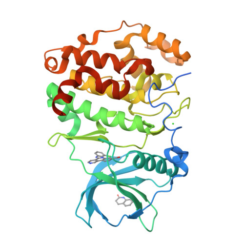 RCSB PDB - 9Q9B: Protein kinase CK2 catalytic subunit alpha' (CSNK2A2 ...