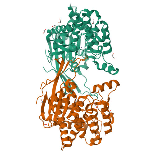 RCSB PDB - 9QCT: Crystal structure of Rhizobium etli L-asparaginase ...
