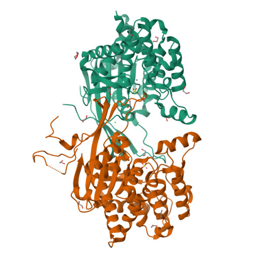RCSB PDB - 9QCU: Crystal structure of Rhizobium etli L-asparaginase ...