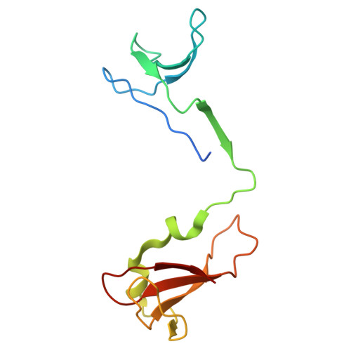 RCSB PDB - 9QEQ: Structure of the transcribing Pol II-DSIF-SPT6-U1 ...