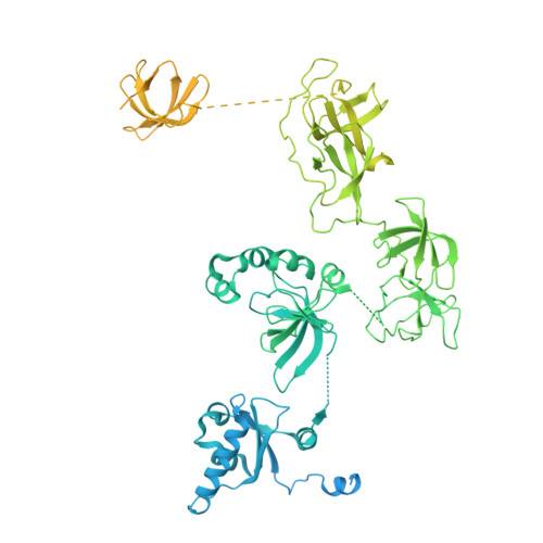 RCSB PDB - 9QEQ: Structure of the transcribing Pol II-DSIF-SPT6-U1 ...