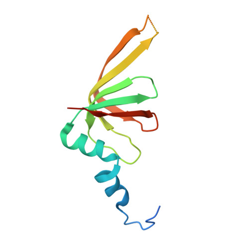 RCSB PDB - 9QEQ: Structure of the transcribing Pol II-DSIF-SPT6-U1 ...