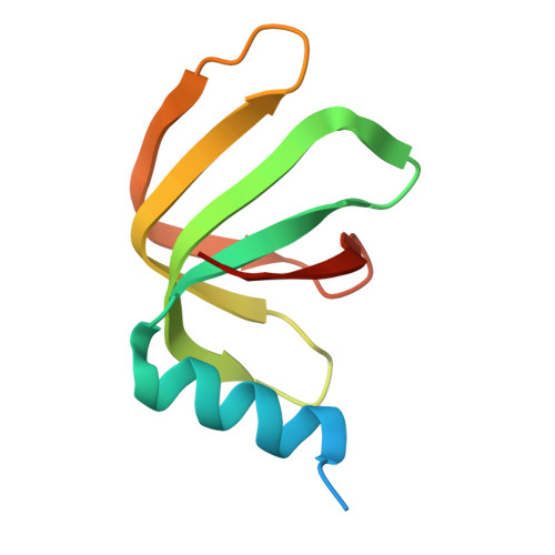 RCSB PDB - 9QEQ: Structure of the transcribing Pol II-DSIF-SPT6-U1 ...