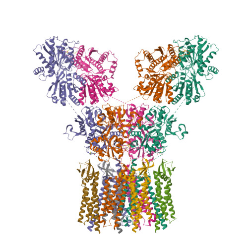 RCSB PDB - 9QFH: The composite map of of the AMPAR complex GluA3- TARP ...