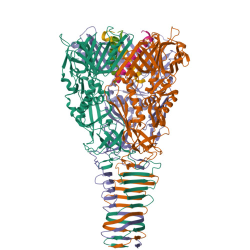 RCSB PDB - 9QGM: Cryo-EM structure of the PlPVC1 central spike, 3-fold ...