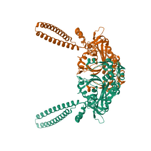 RCSB PDB - 9QMP: E.coli seryl-tRNA synthetase