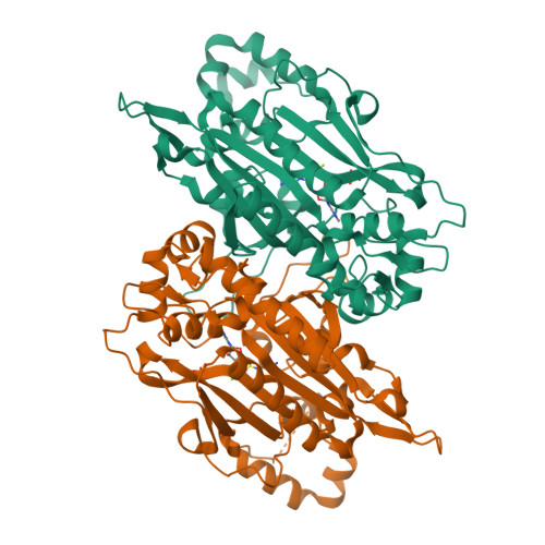 RCSB PDB - 9QOF: E.coli seryl-tRNA synthetase (Arm deletion mutant ...