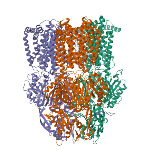 RCSB PDB - 9QPS: Single particle cryo-EM structure of MdtF V610F