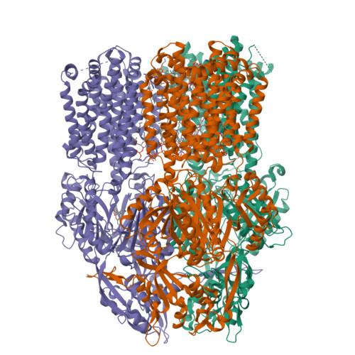 RCSB PDB - 9QPT: Single particle cryo-EM structure of MdtF V610F with ...