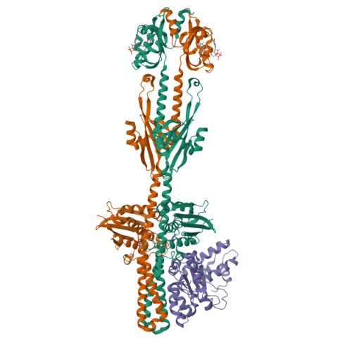 RCSB PDB - 9QQ6: Structure of the Azotobacter vinelandii NifL-NifA complex