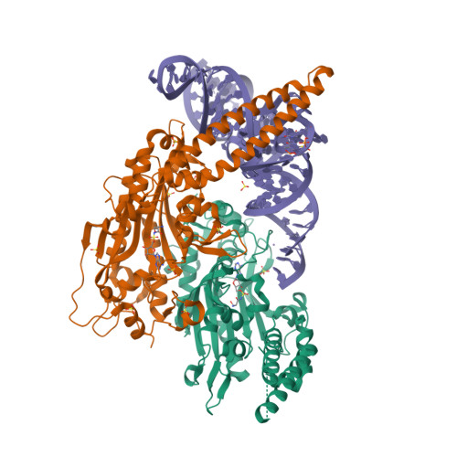 RCSB PDB - 9QRP: Thermus thermophilus seryl-tRNA synthetase bound to ...