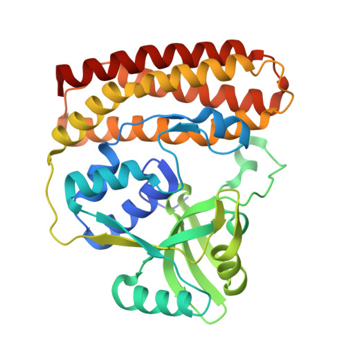 RCSB PDB - 9QUZ: Crystal structure of CtaG from Ruminiclostridium ...