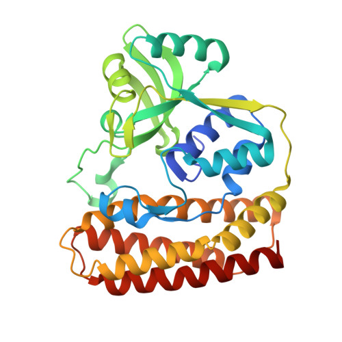 RCSB PDB - 9QVP: Crystal structure of the CtaG_H128A variant from ...