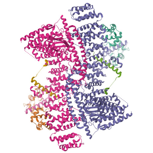 RCSB PDB - 9QWS: Cryo-EM structure of the human UBR4/KCMF1/CALM1 ...